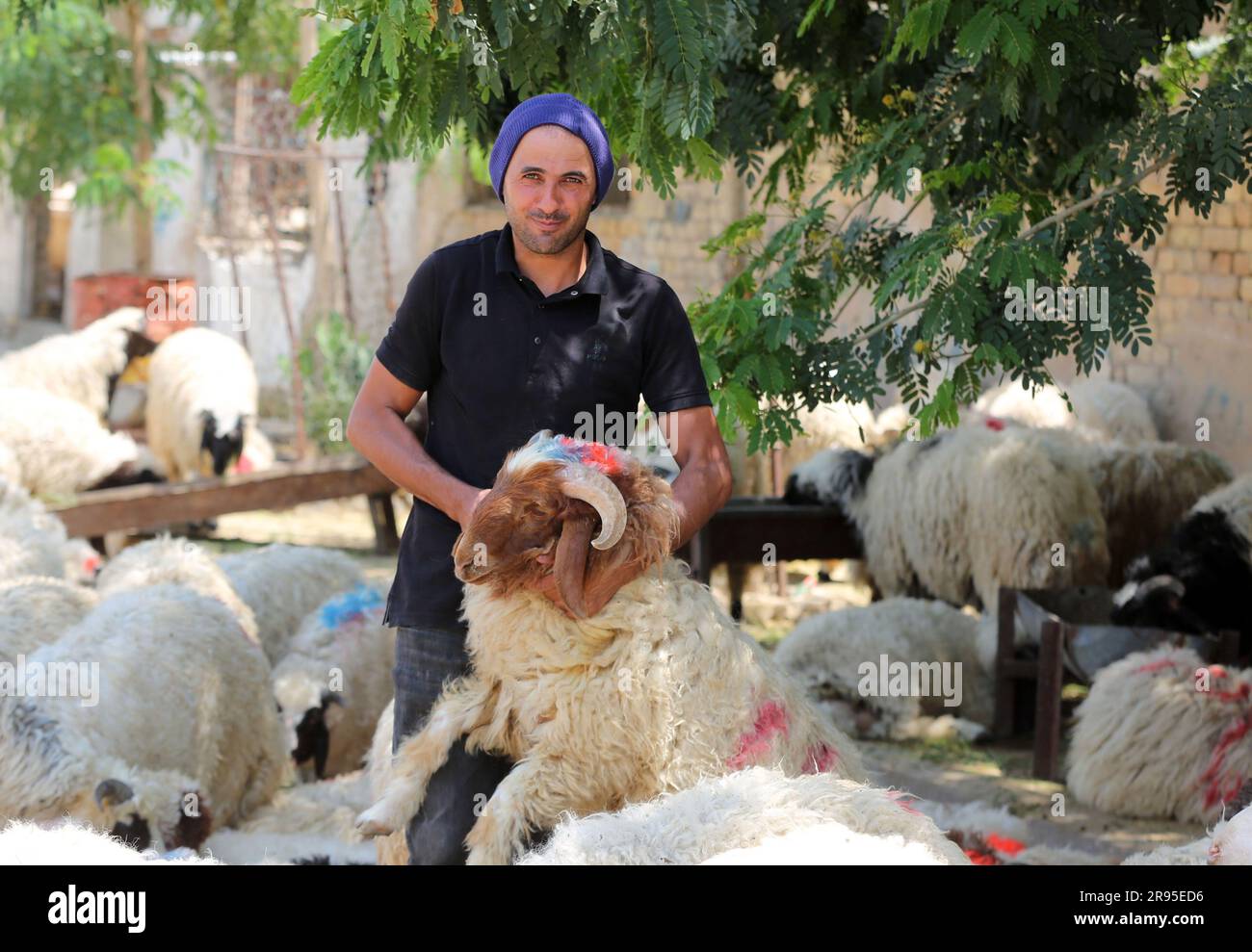 Karkh district hi-res stock photography and images - Alamy