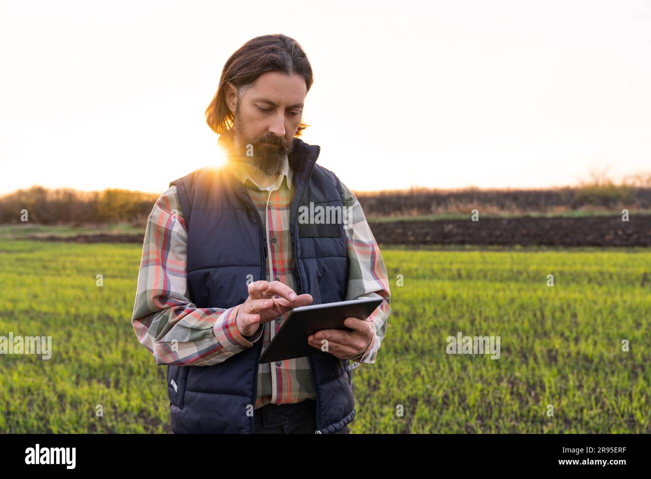 Farmer with digital tablet in young wheat field. Smart farming and ...