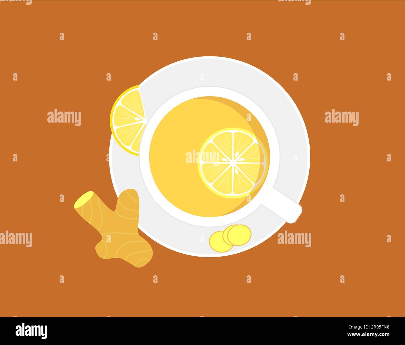 Root view Stock Vector Images - Alamy