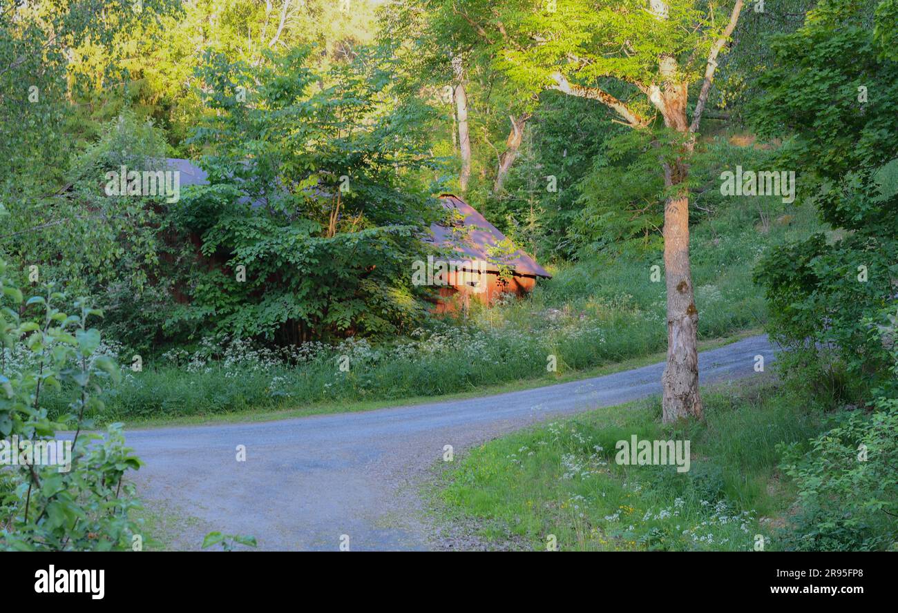 Landscape with different types of deciduous trees and a collapsed old ...
