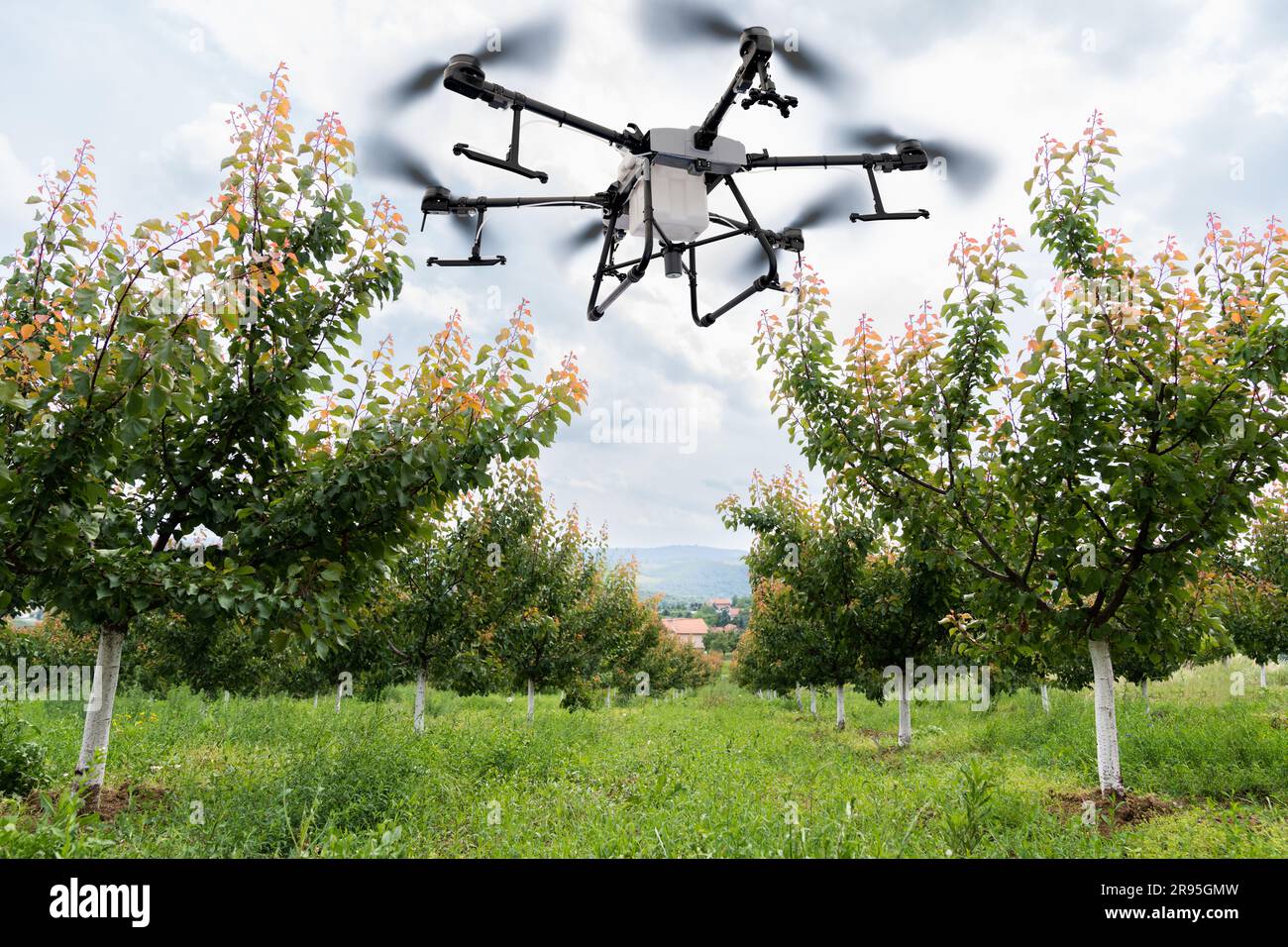Aerial fly over orchard hi-res stock photography and images - Alamy
