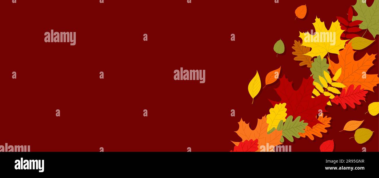 Multicolored autumn leaves on a red burgundy background with a copy ...
