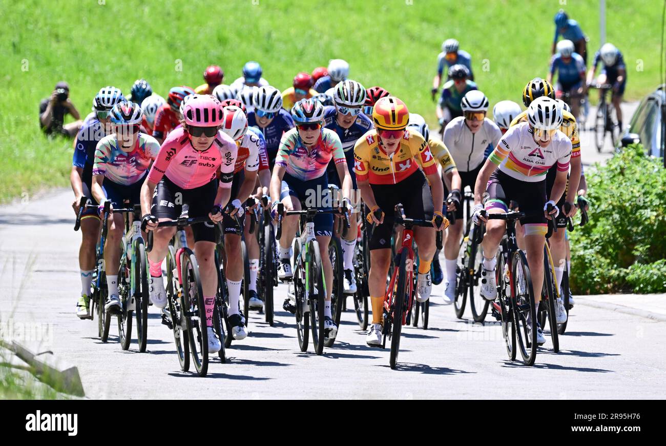 24 June 2023, Baden-Württemberg, Donaueschingen/Bad Dürrheim: Cycling ...
