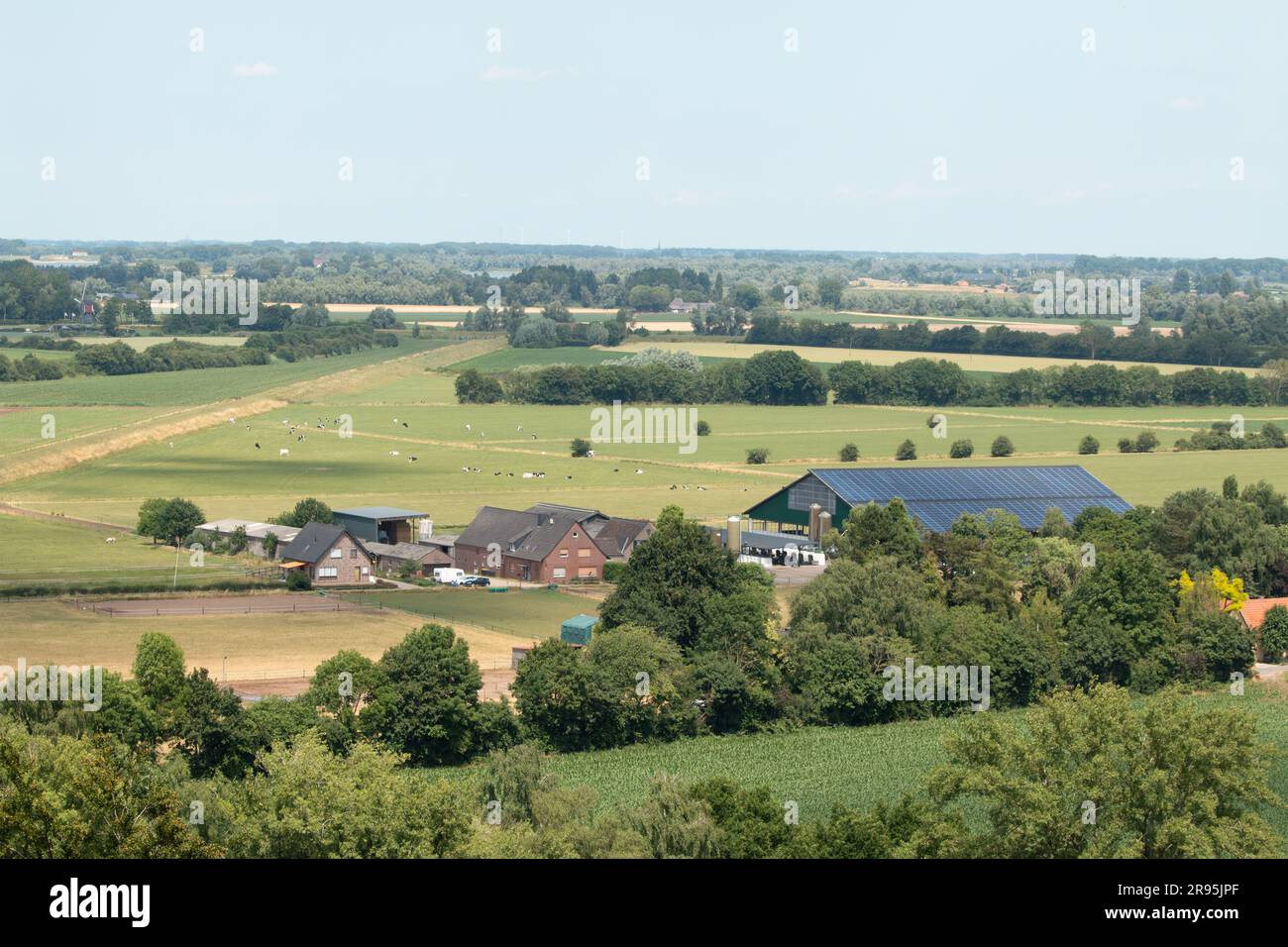 Dutch polder farm nestled in the enchanting European argiculture ...