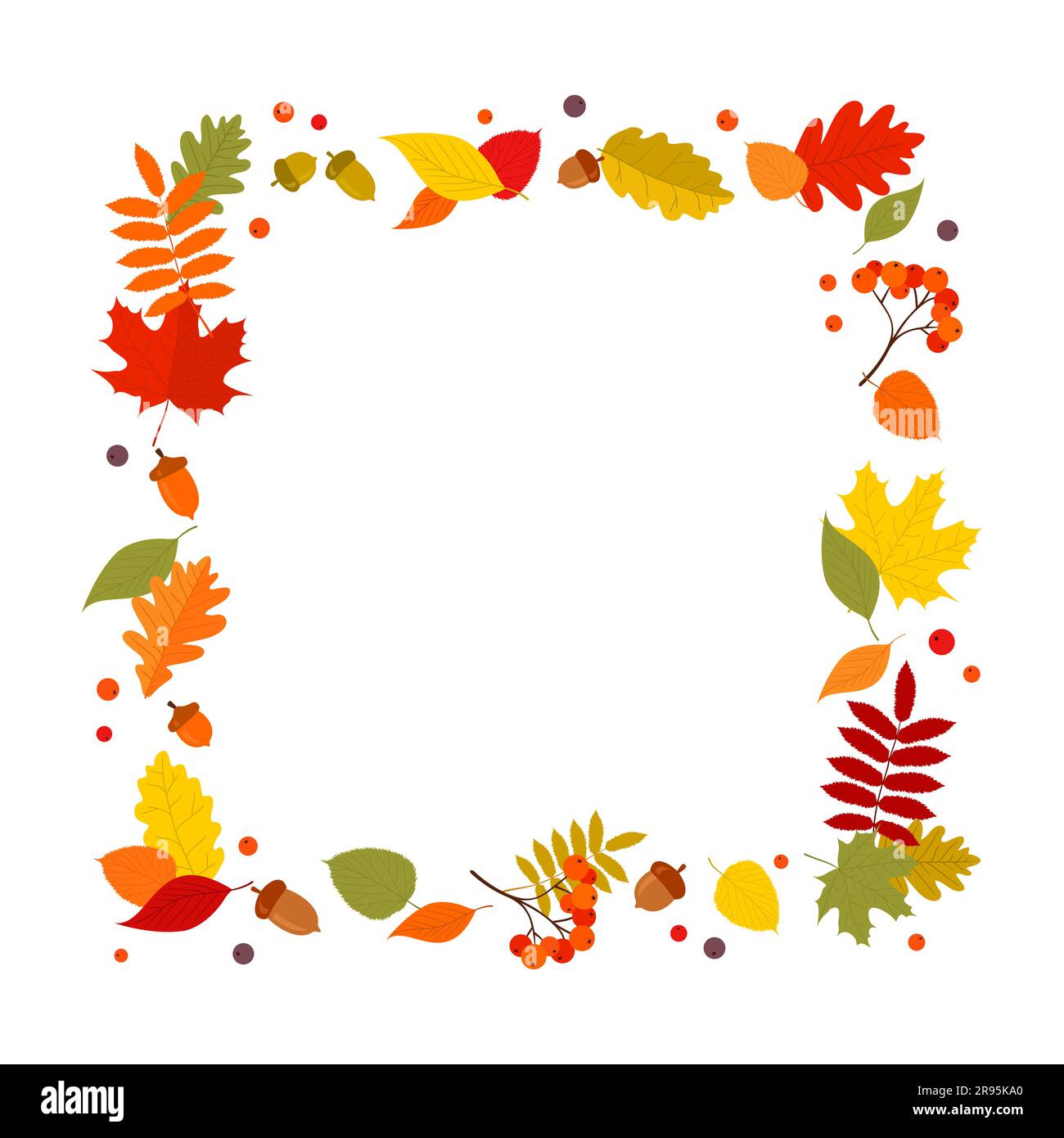 Square frame with multicolored autumn leaves, berries and acorns on a ...