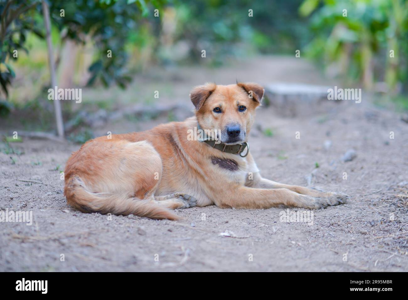 Sit on the ground hi-res stock photography and images - Alamy