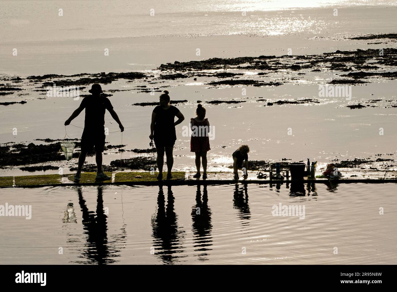 Family rock poll crab fishing at Minis Bay Kent UK Stock Photo - Alamy