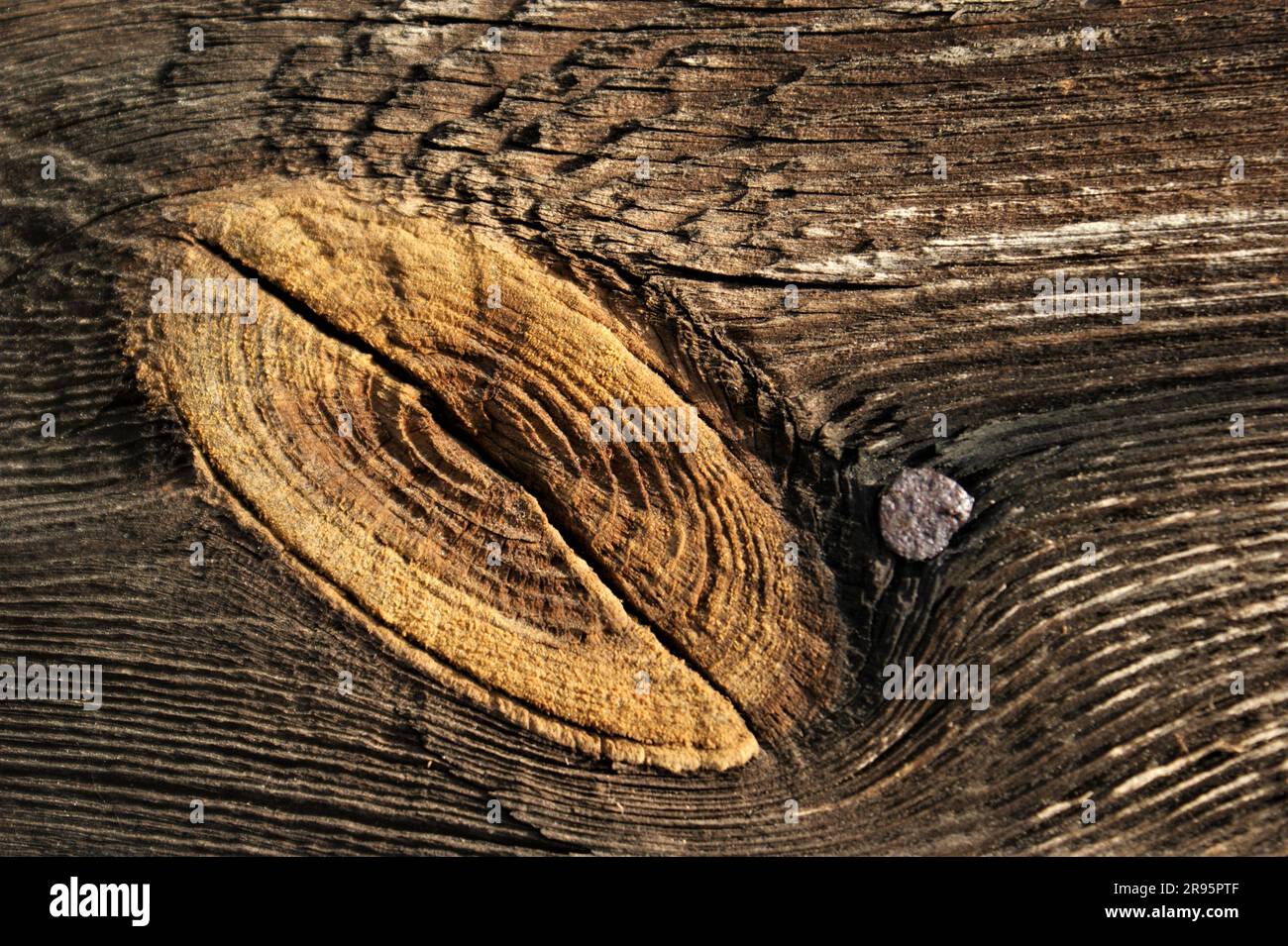Old brown cracked board. Wooden board structure. Close-up Stock Photo ...