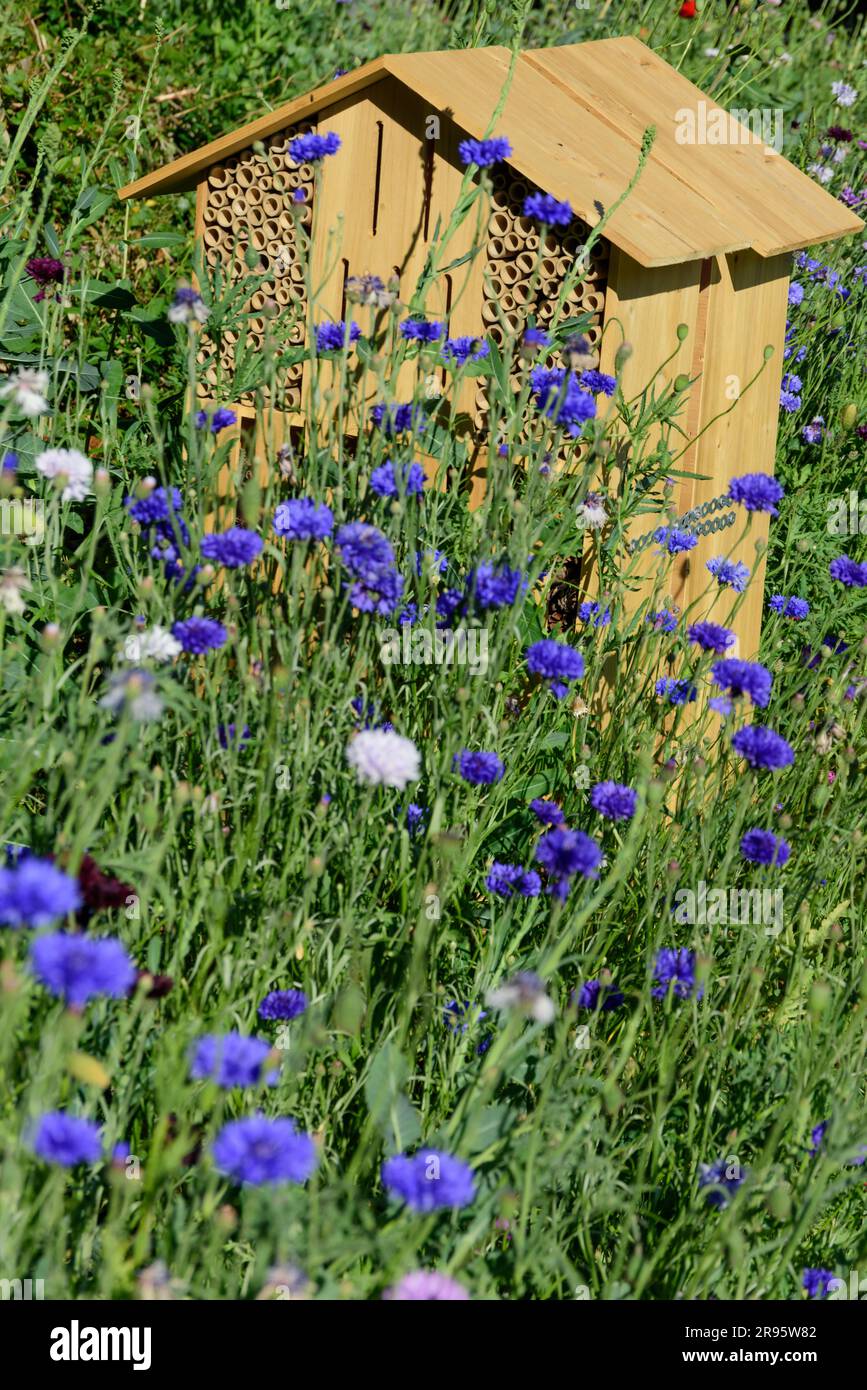 Kopenhagen, Insektenhotel // Copenhagen, Insects Hotel Stock Photo - Alamy