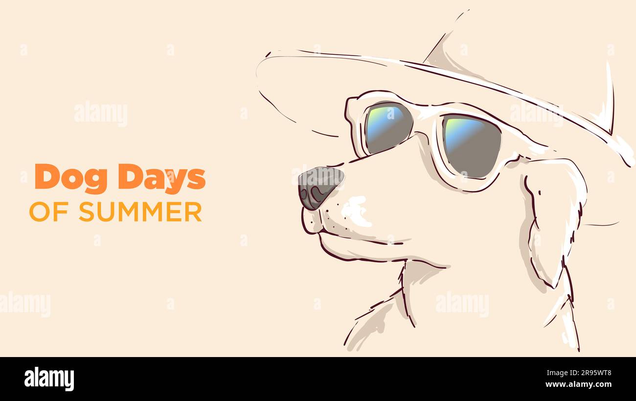 Dog days of summer. cute dog wear summer hat and black sunglasses hand ...