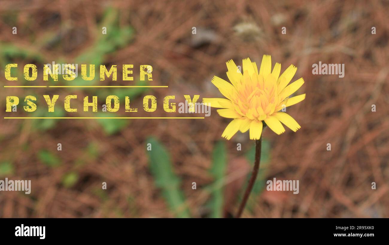 Consumer psychology hi-res stock photography and images - Alamy