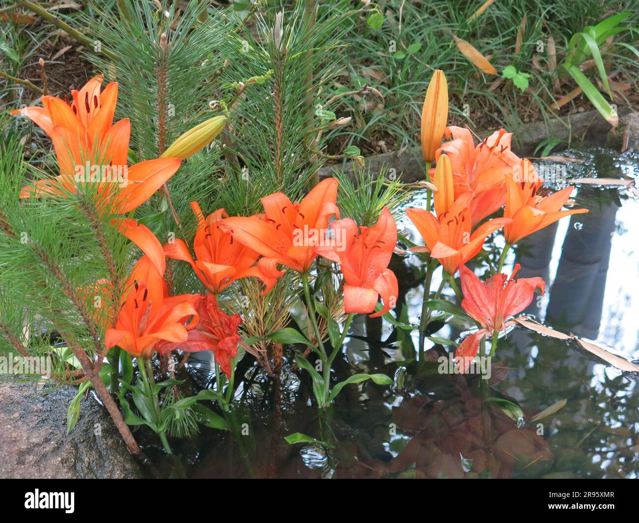 Kibibi museum hi-res stock photography and images - Alamy