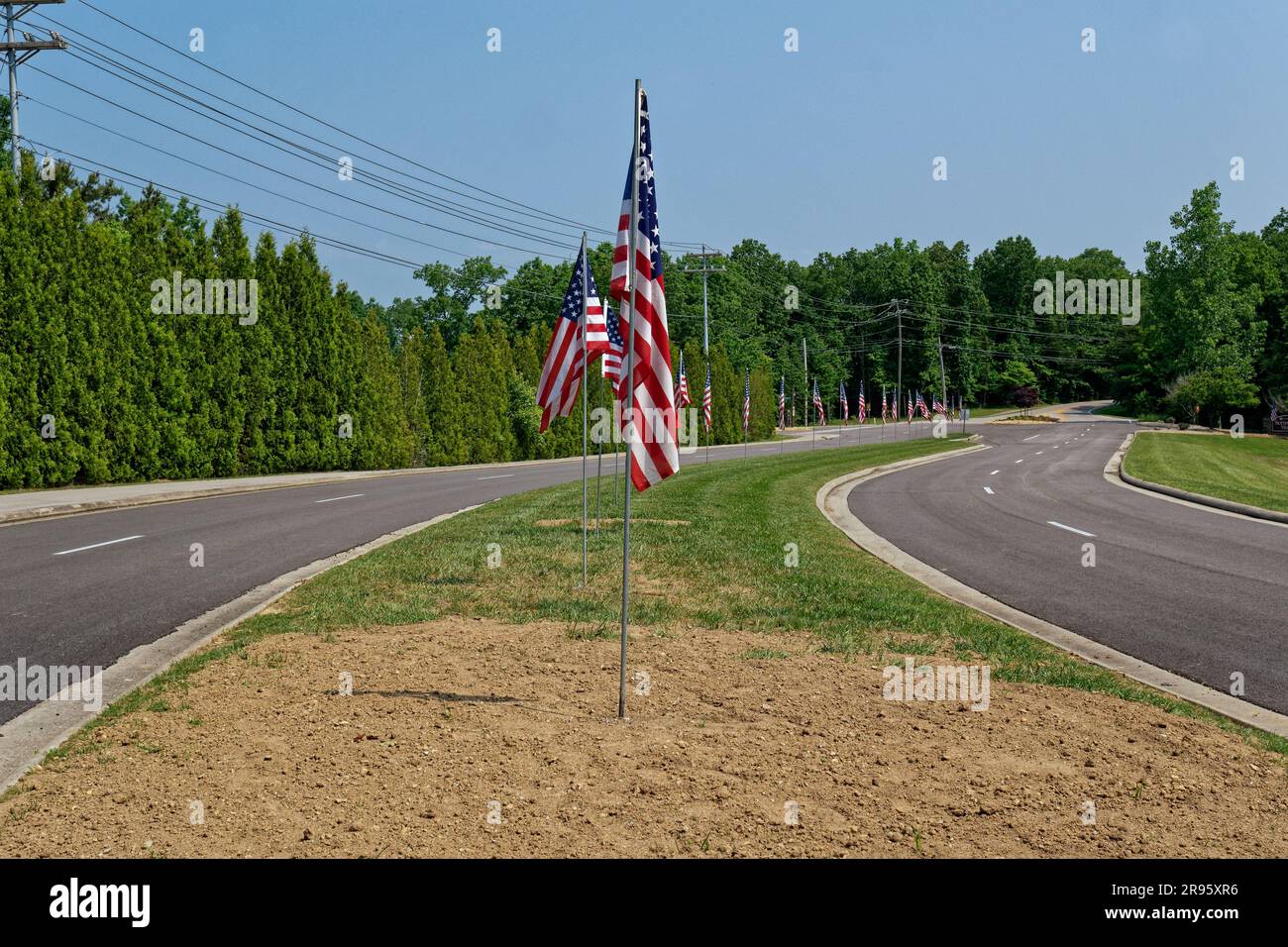 Several full size American flags lined up down the middle of the ...