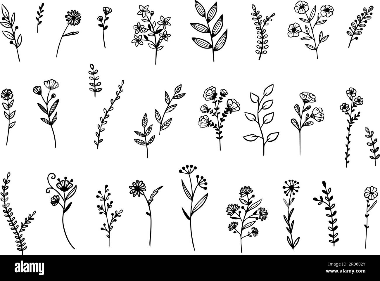Flower plant line art simple drawn set Stock Vector Image & Art - Alamy