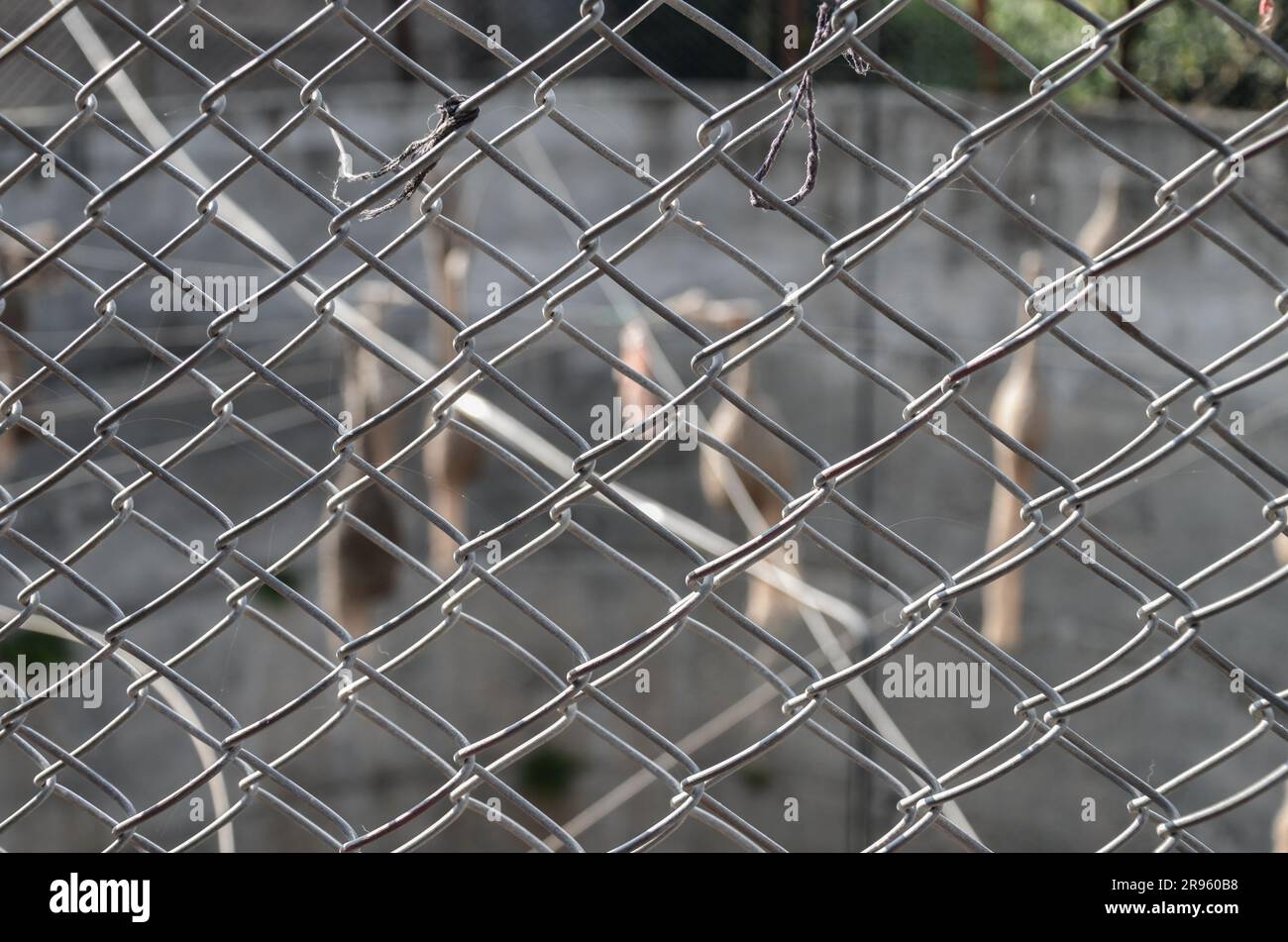 Chain link fencing Stock Photo - Alamy