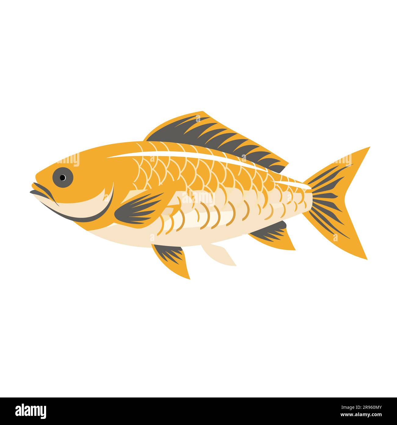 Variety fish Stock Vector Images - Alamy
