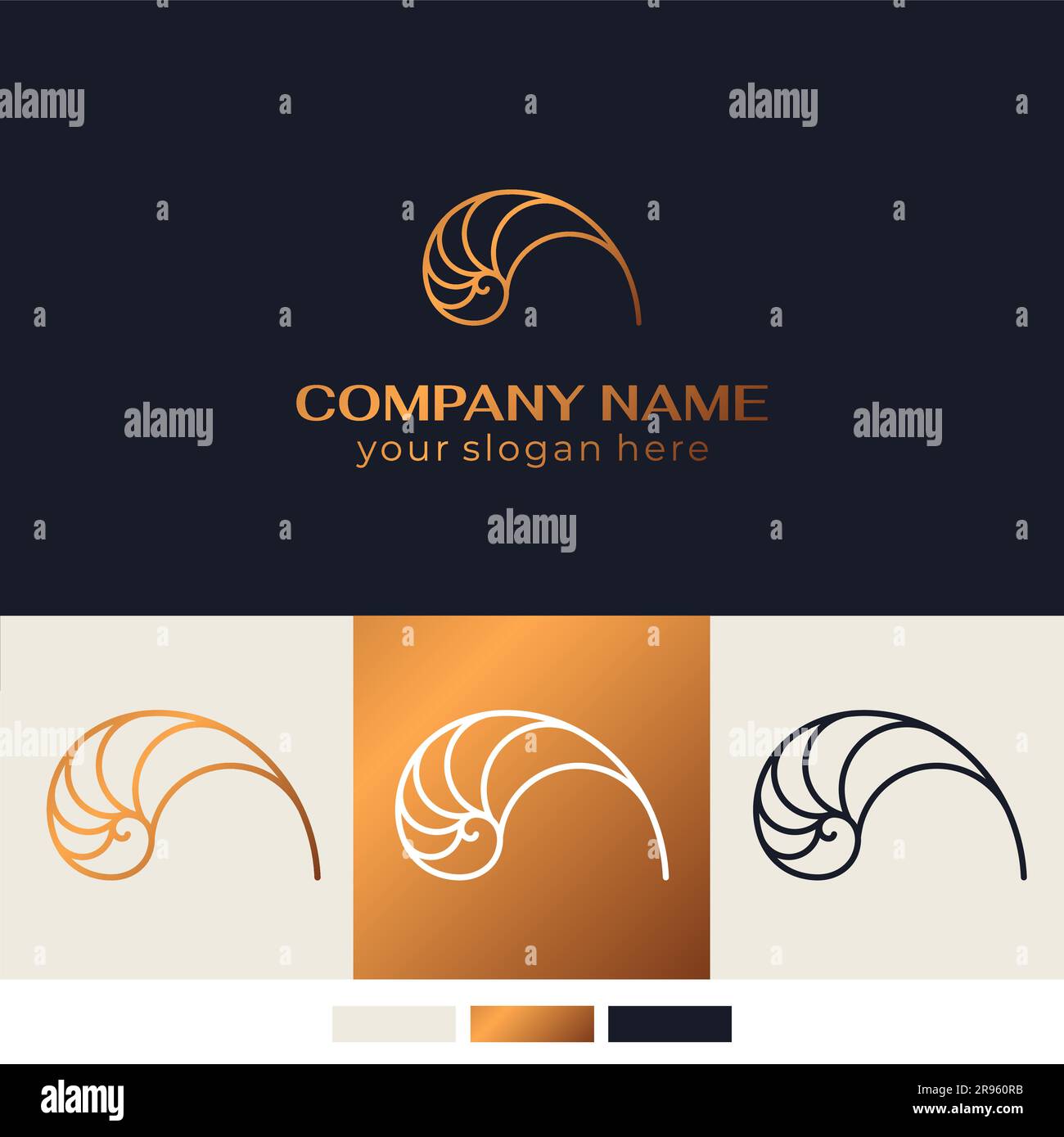 Shell logo. Modern seashell, naulilus. Elegant linear logo. Template to ...