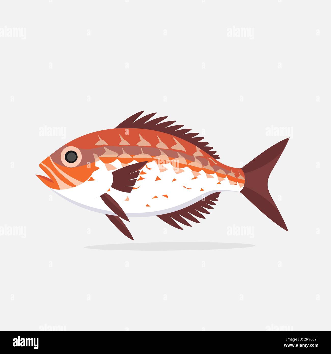 Arapaima fish Stock Vector Images - Alamy