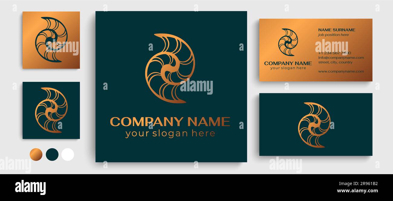 Shell logo. Modern seashell, naulilus. Elegant linear logo. Template to ...