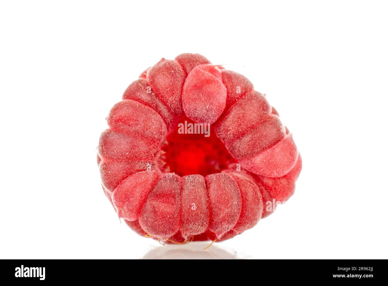 One sweet raspberry berry, macro, isolated on white background Stock ...