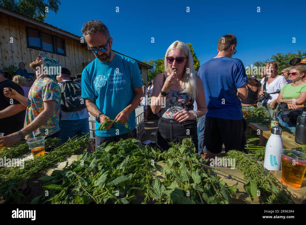 Bridport, Dorset. 24 June 2023. World Nettle Eating Contest. Held at ...