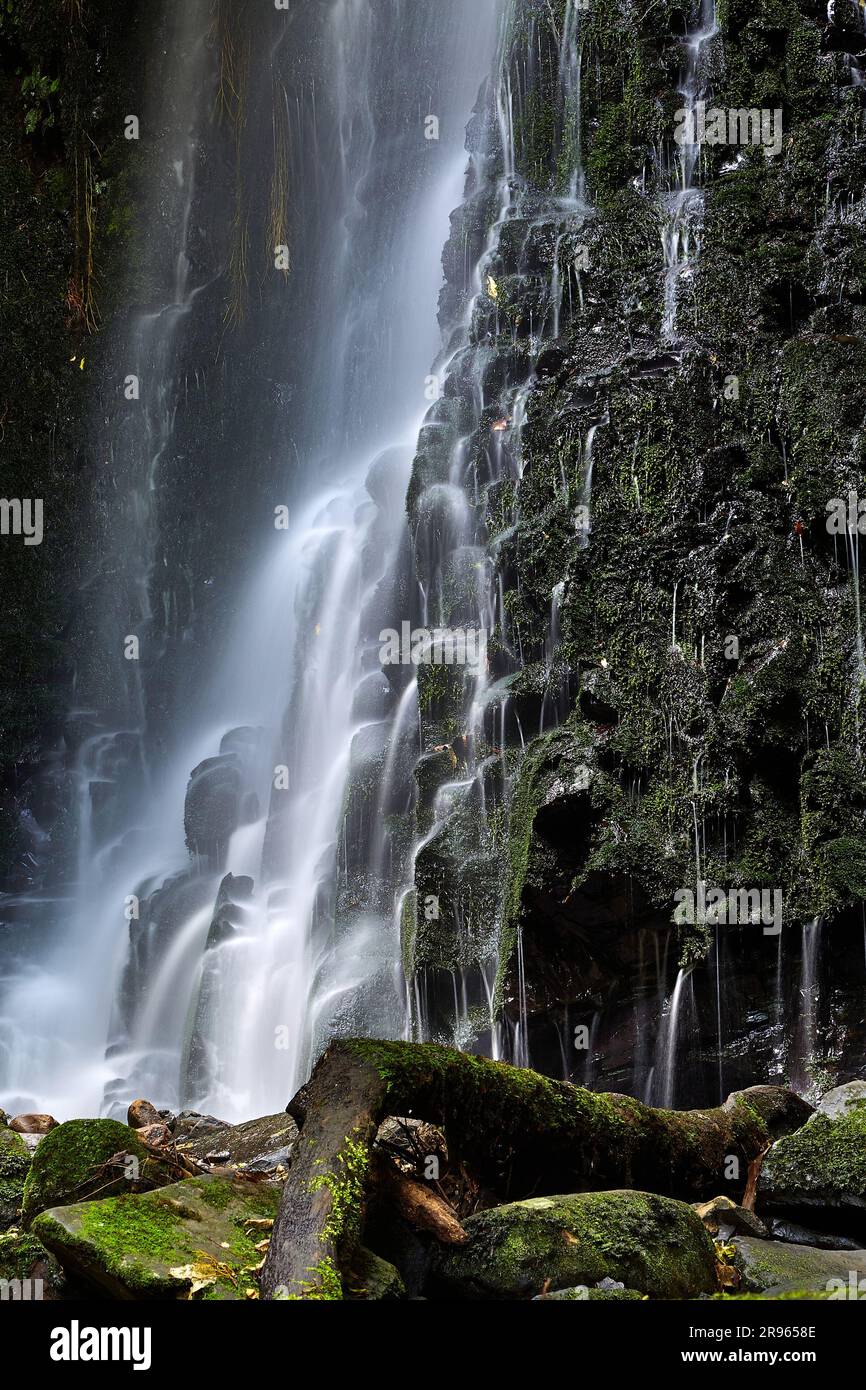 Waterfall in the woods Stock Photo - Alamy