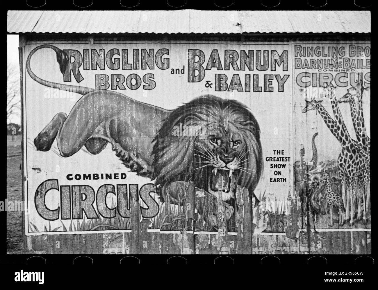 Circus poster, Alabama. Walker Evans. Summer 1936 Stock Photo - Alamy