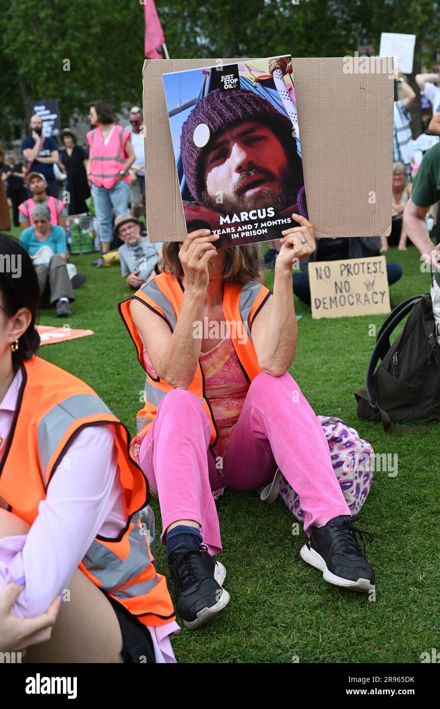 London, UK. 24th June, 2023. Just Stop Oil activists and other ...