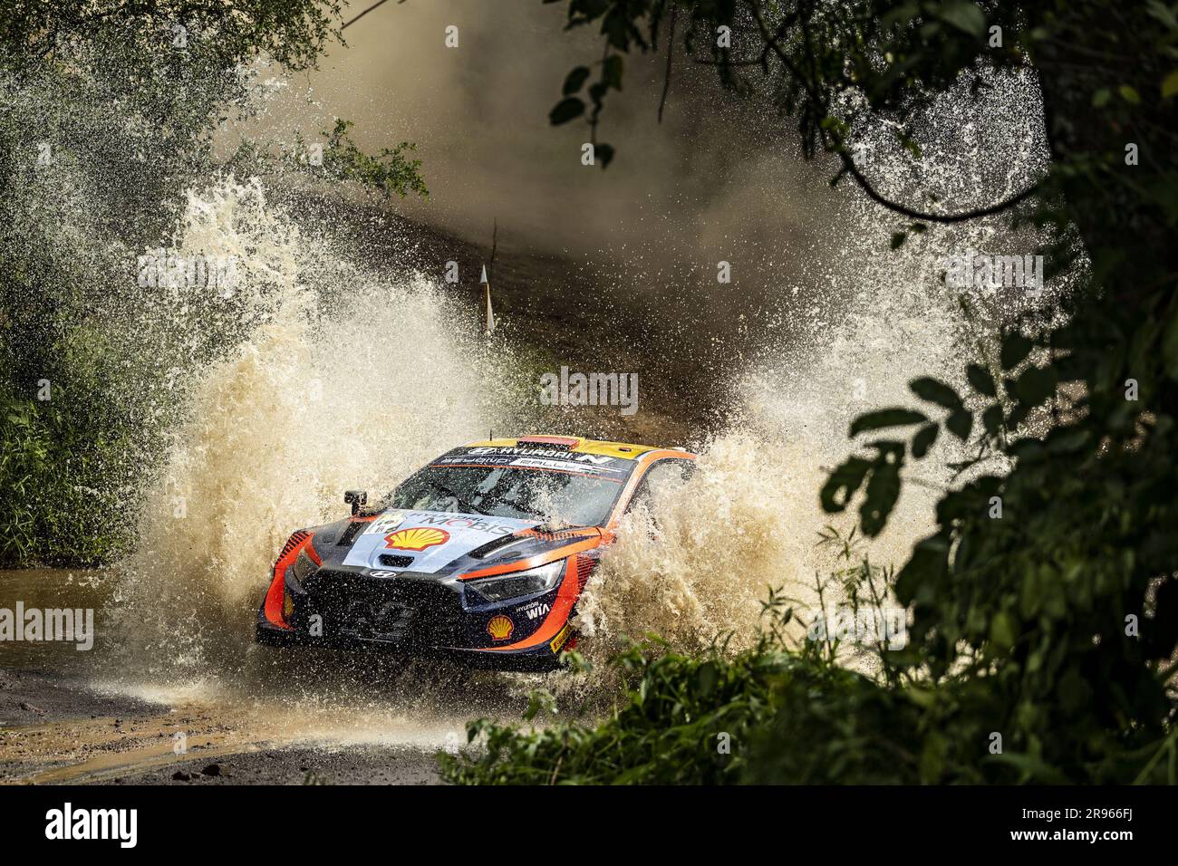 06 Dani SORDO (ESP), Candido CARRERA (ESP), HYUNDAI SHELL MOBIS WORLD ...