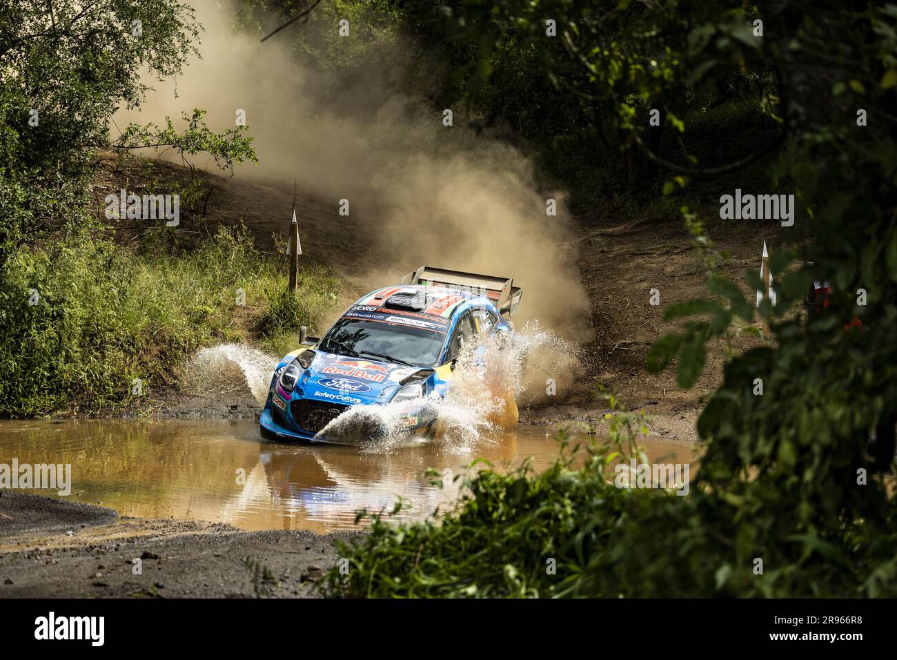 08 Ott TANAK (EST), Martin JARVEOJA (EST), M-SPORT FORD WORLD RALLY ...