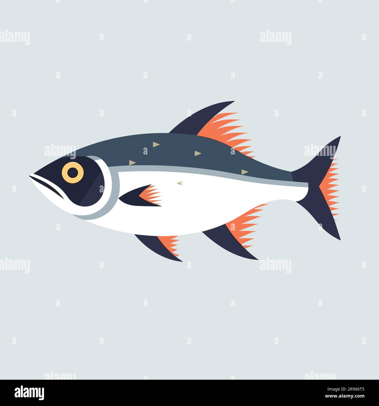 Arapaima fish Stock Vector Images - Alamy