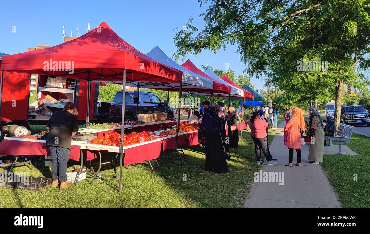 Outdoor local farmers market with tent Stock Photo - Alamy