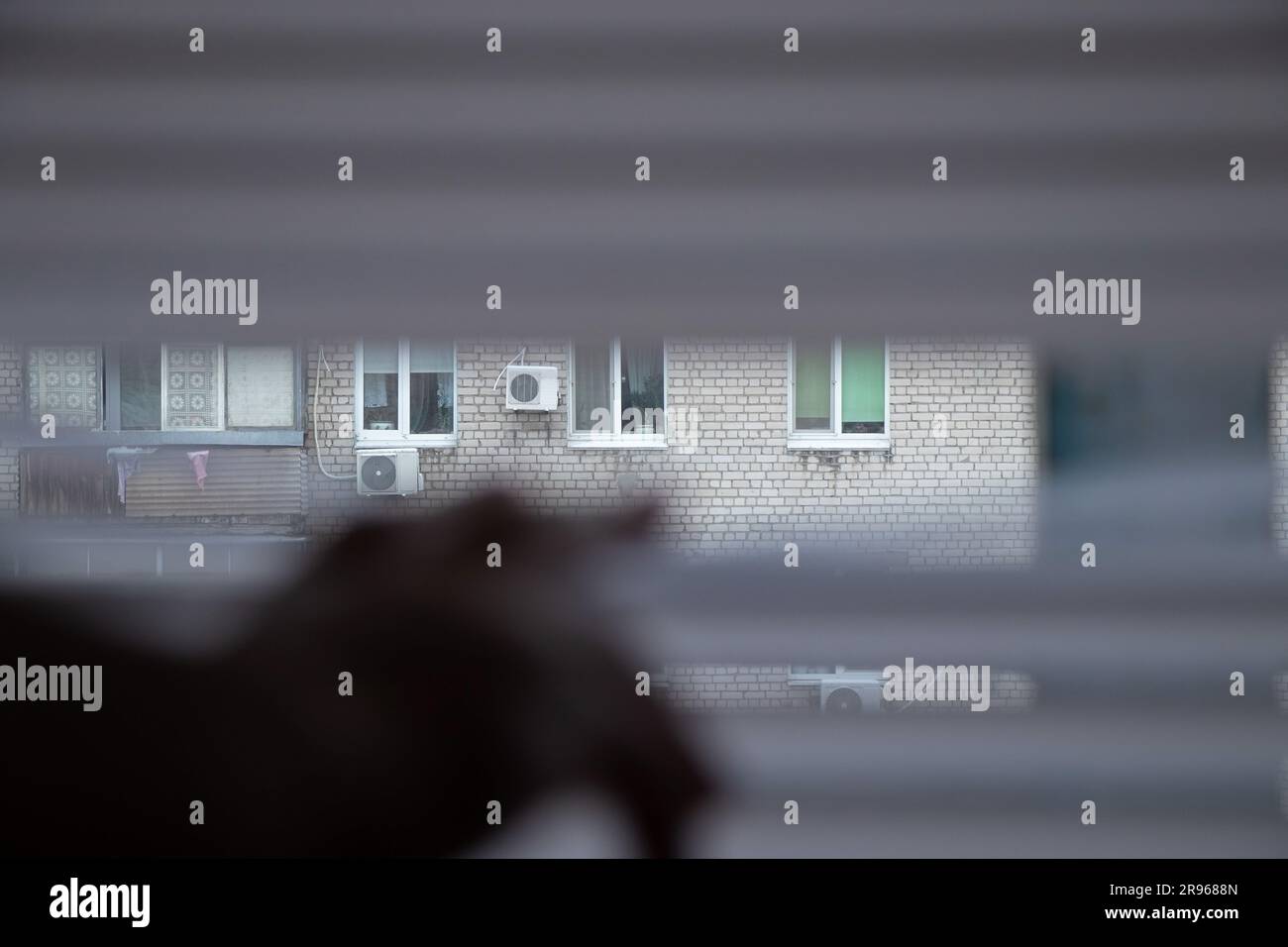 finger on the blinds on the window of the house, look out the window ...