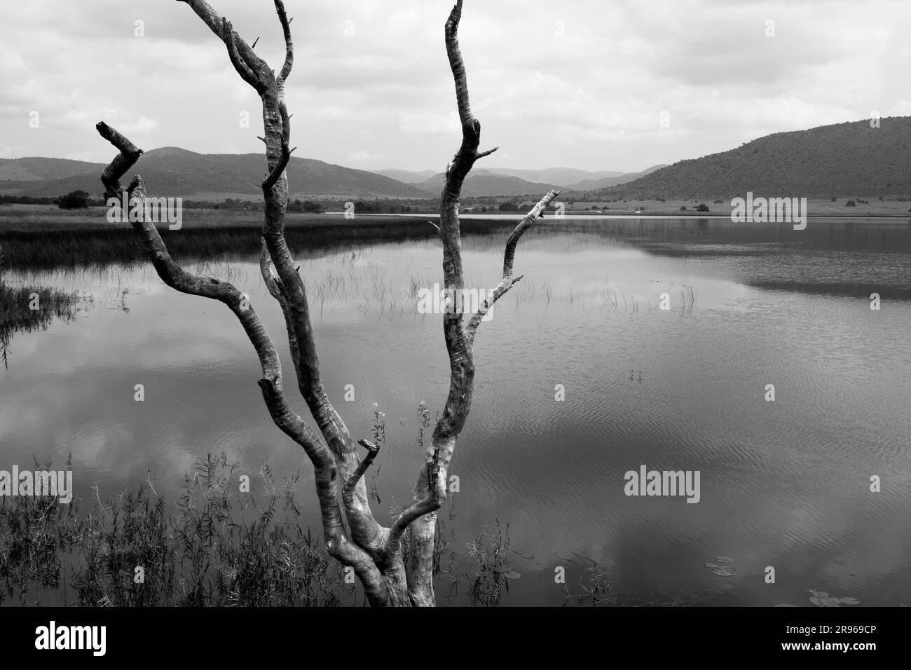 Mankwe dam Black and White Stock Photos & Images - Alamy