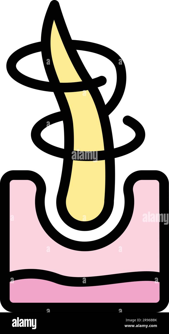 Curly hair icon. Outline Curly hair vector icon for web design isolated ...