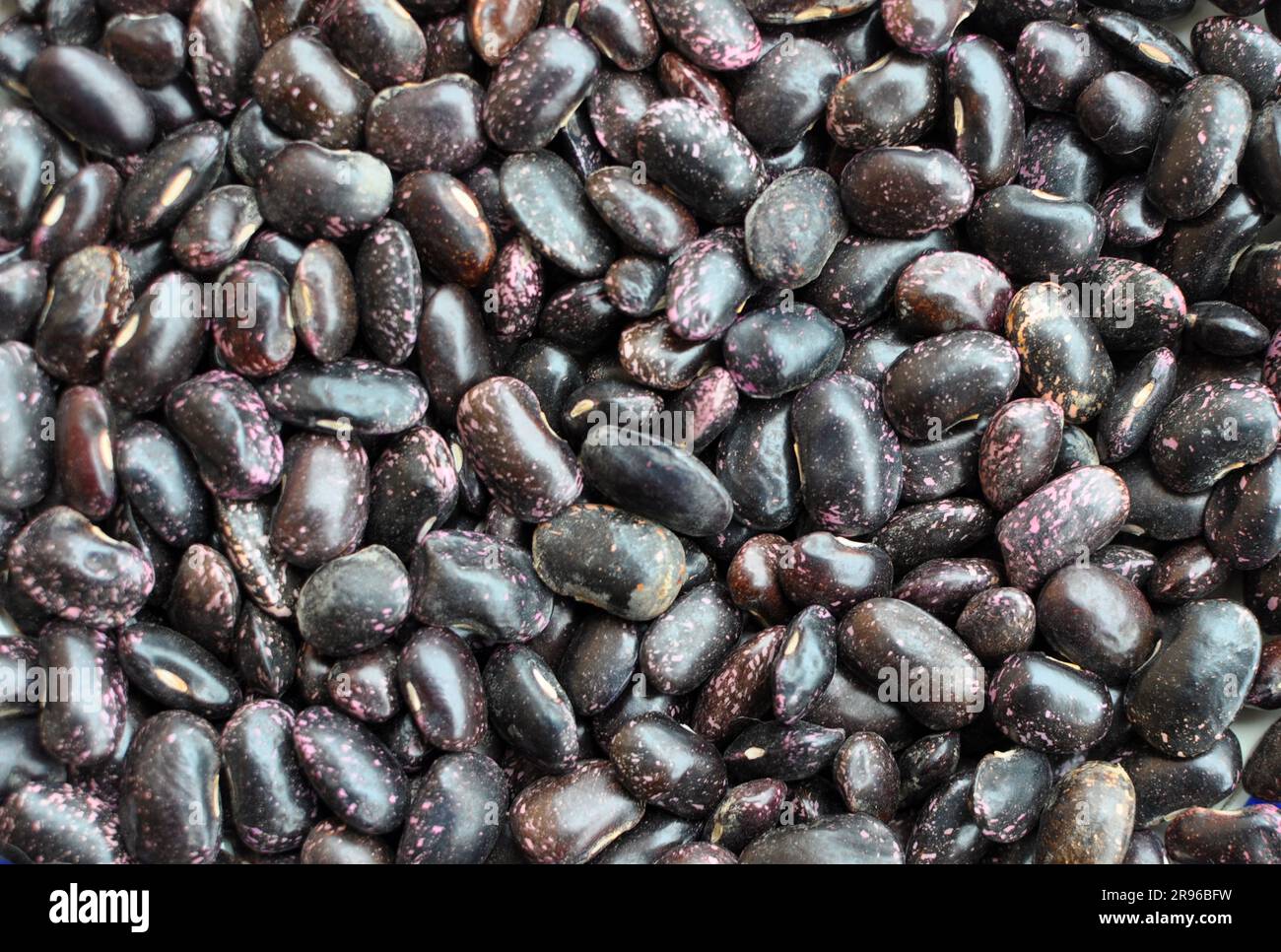Background from a crop of dry beans Stock Photo - Alamy