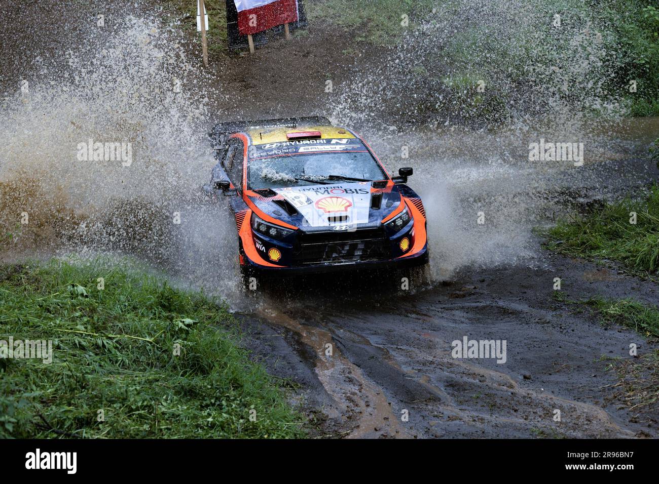 2023 safari rally hi-res stock photography and images - Alamy