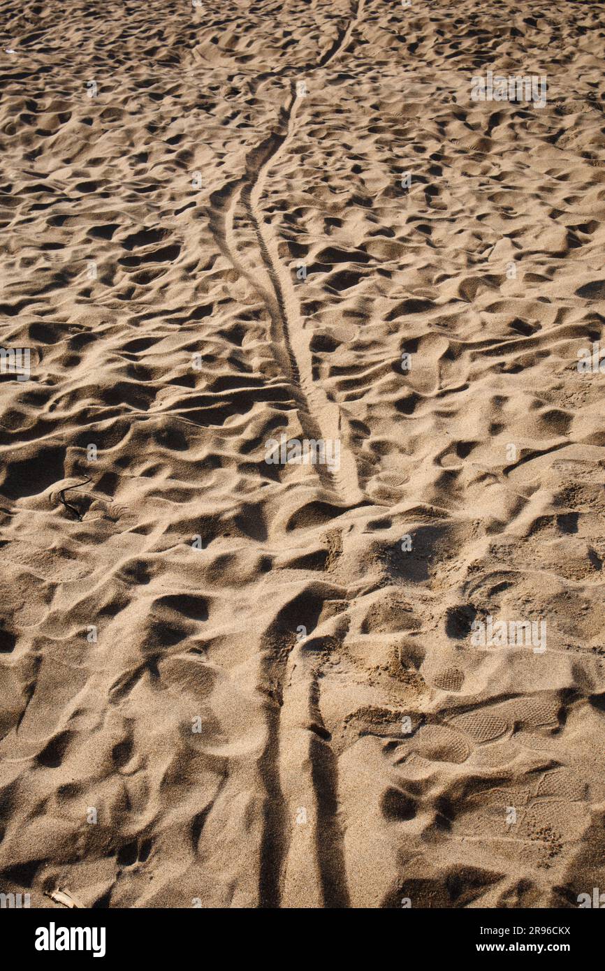 Beautiful sand dune texture background with ripples and shadows in the ...