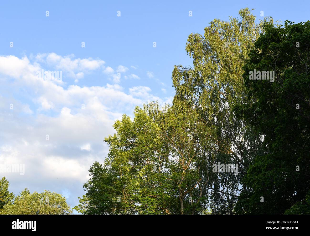 50 shades of nature hi-res stock photography and images - Alamy