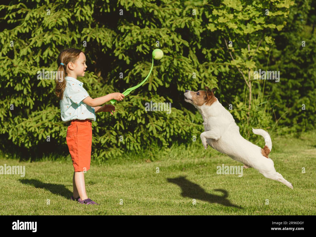Summer fun outdoors: child and dog playing together with tennis ball ...