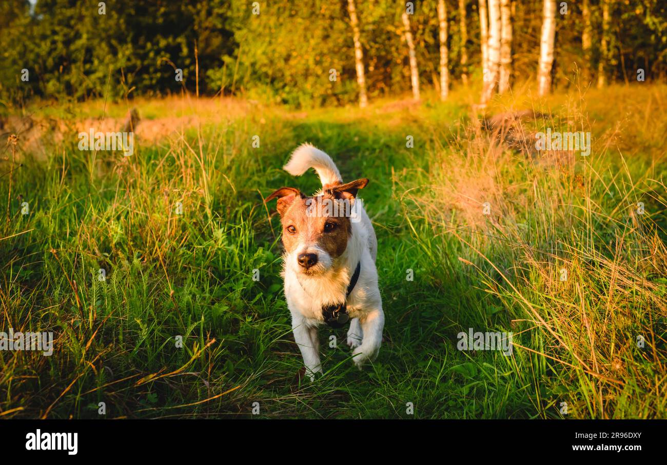 Walking wanderlust hi-res stock photography and images - Alamy