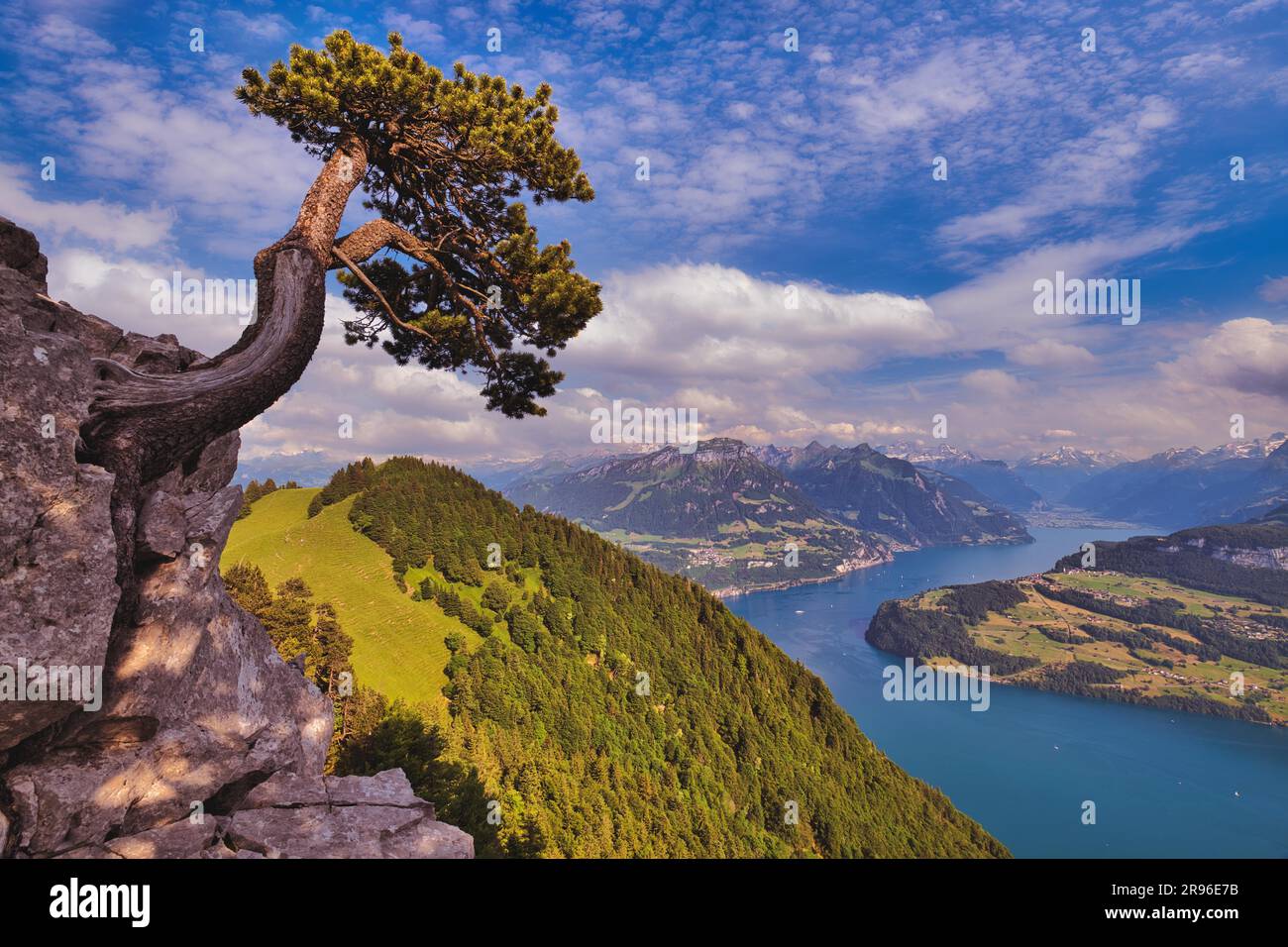 View of the Lake of Uri and the Central Swiss Pre-Alps, Cantons of ...