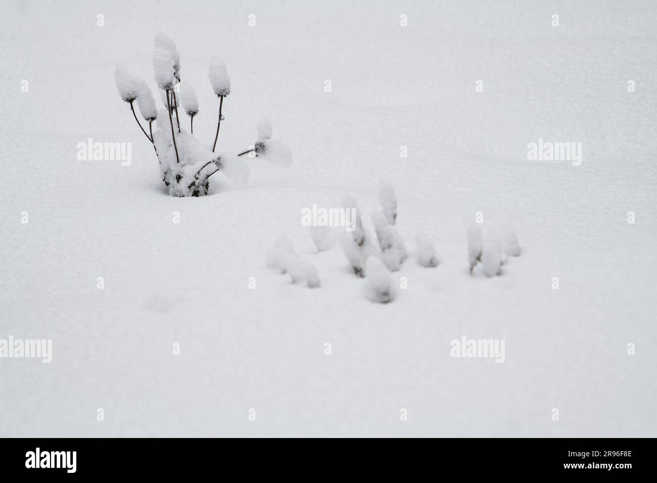 Winter scene after and during heavy snowfall, Brownsburg, Quebec ...