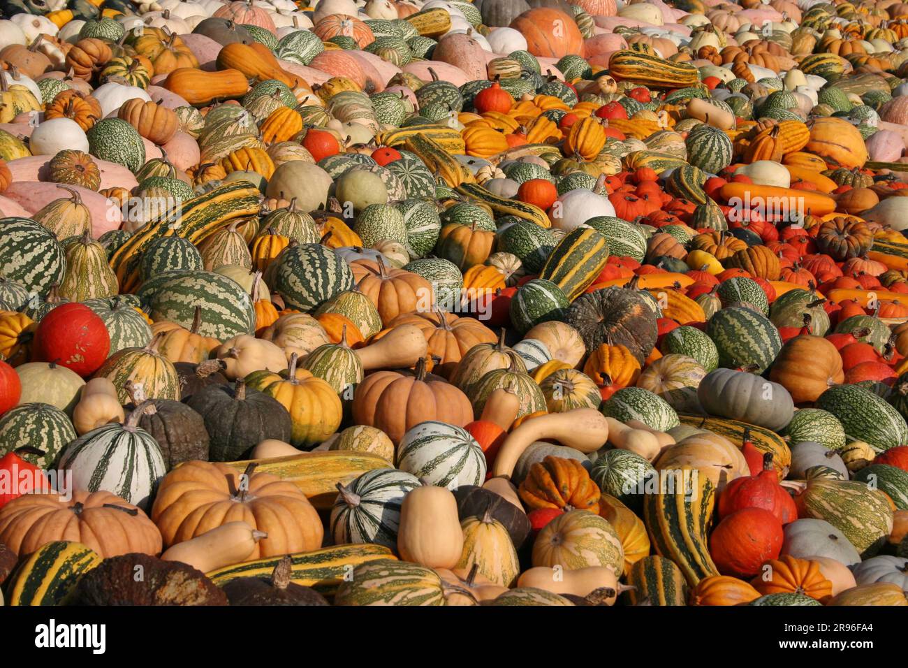 Gourd collection hi-res stock photography and images - Alamy