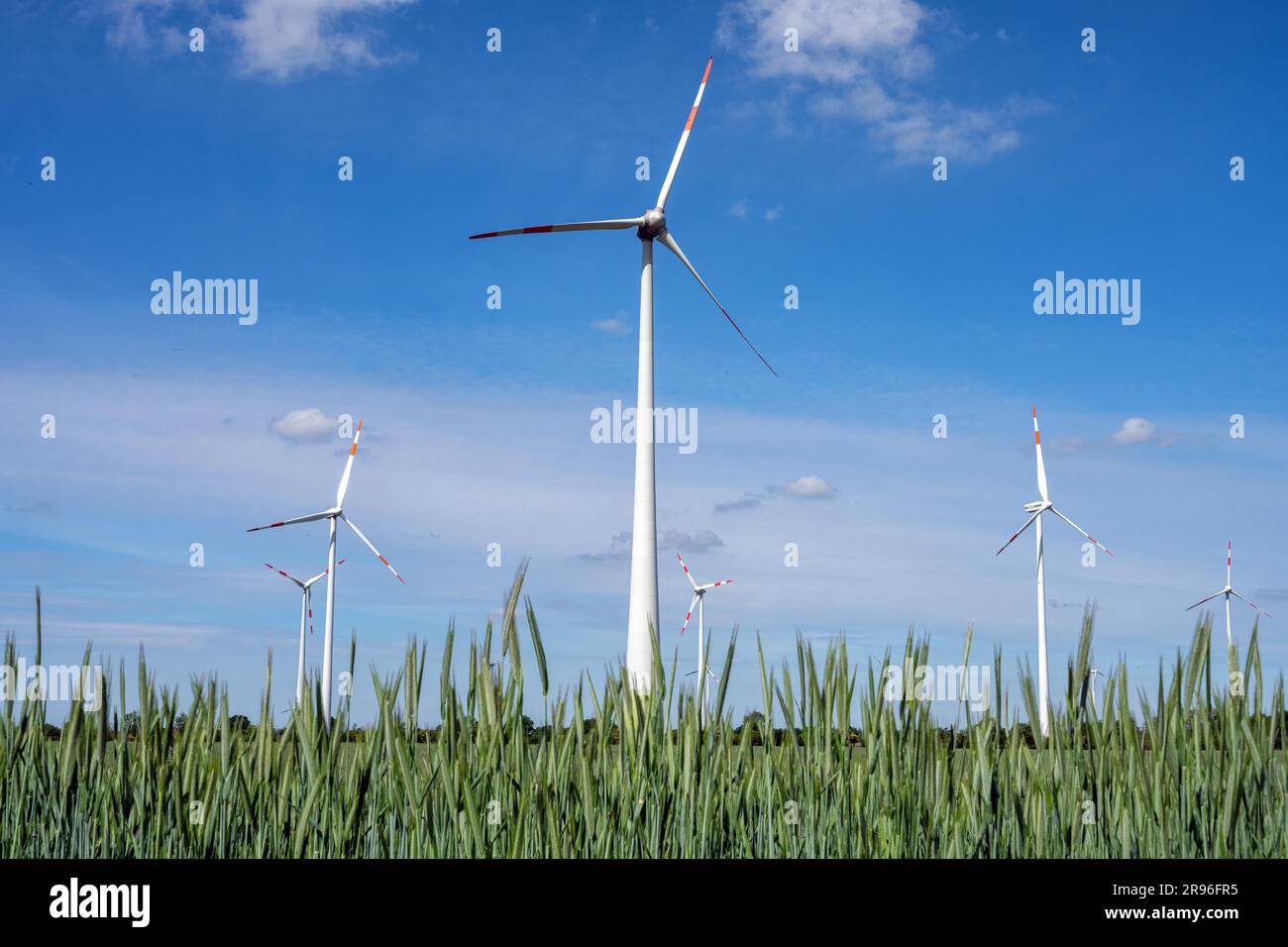 Wind turbines seen in a grain field in Germany Stock Photo - Alamy