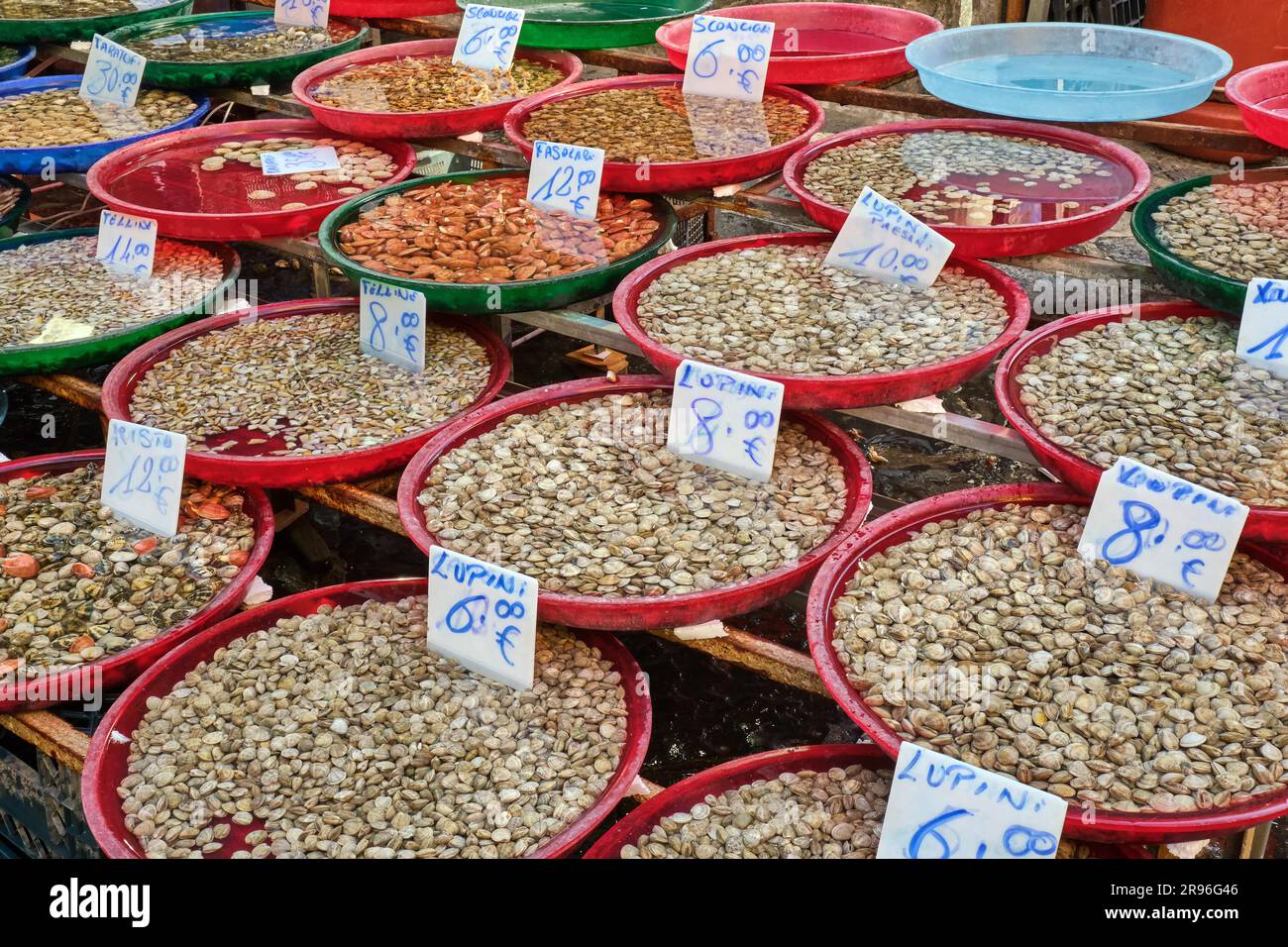 Different types of shells for sale at a market Stock Photo - Alamy