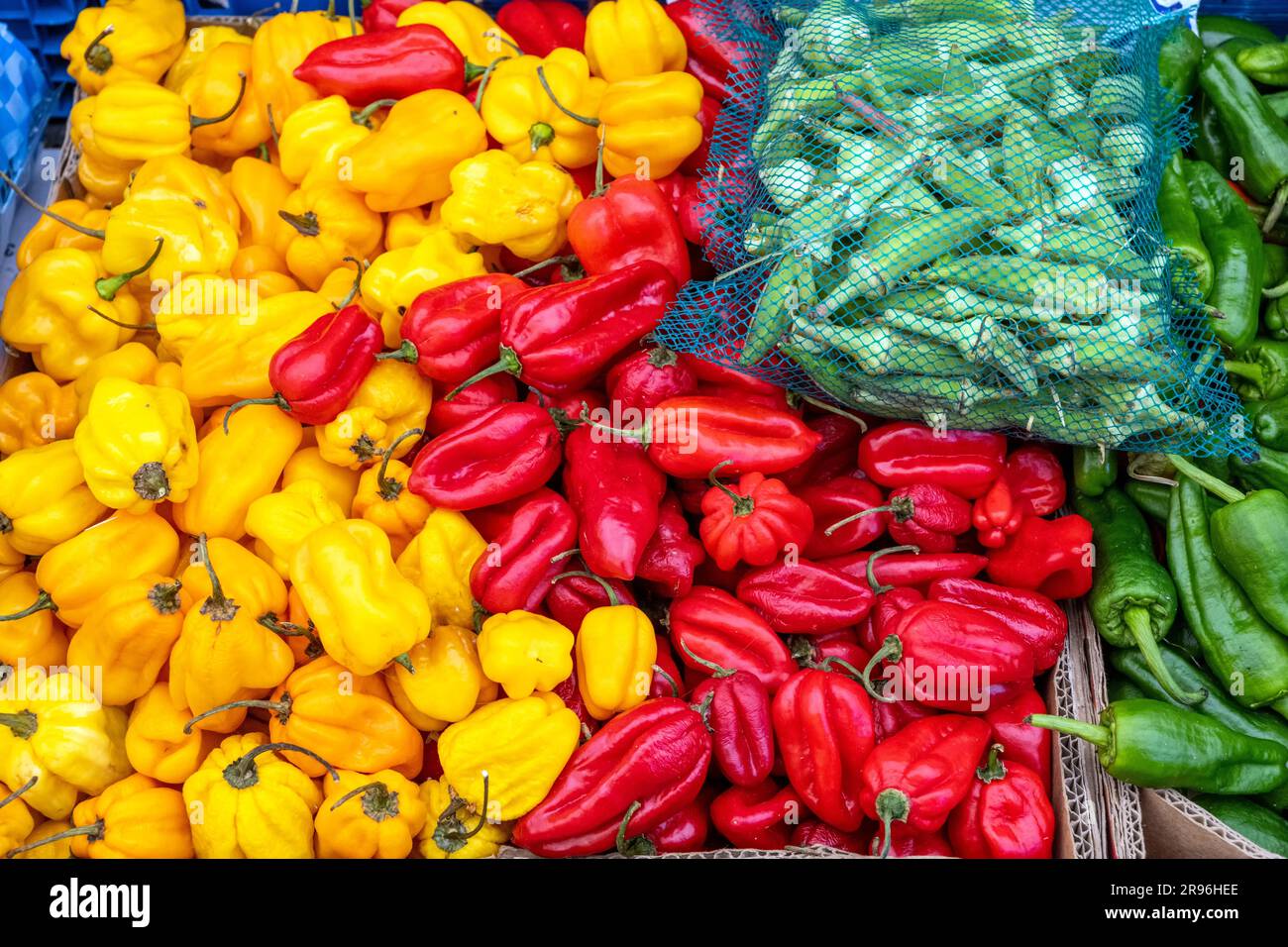 Different types of peppers for sale at a market Stock Photo - Alamy