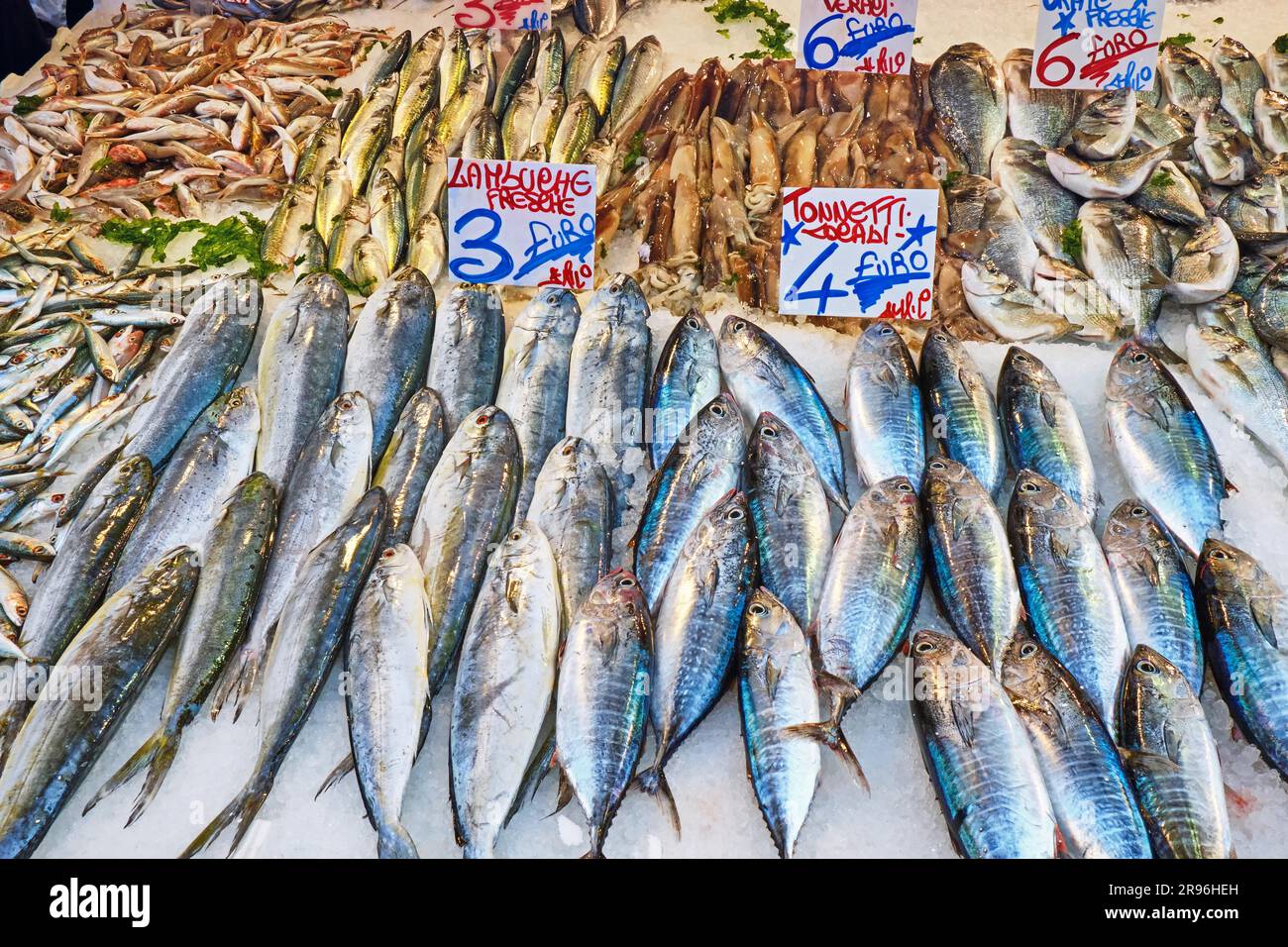 Atlantic tuna fish market hi-res stock photography and images - Alamy