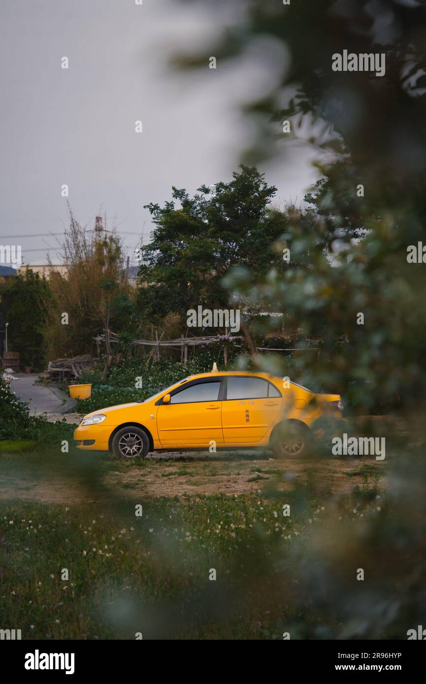 A yellow taxi vehicle parked in a rural area seen through plants Stock ...