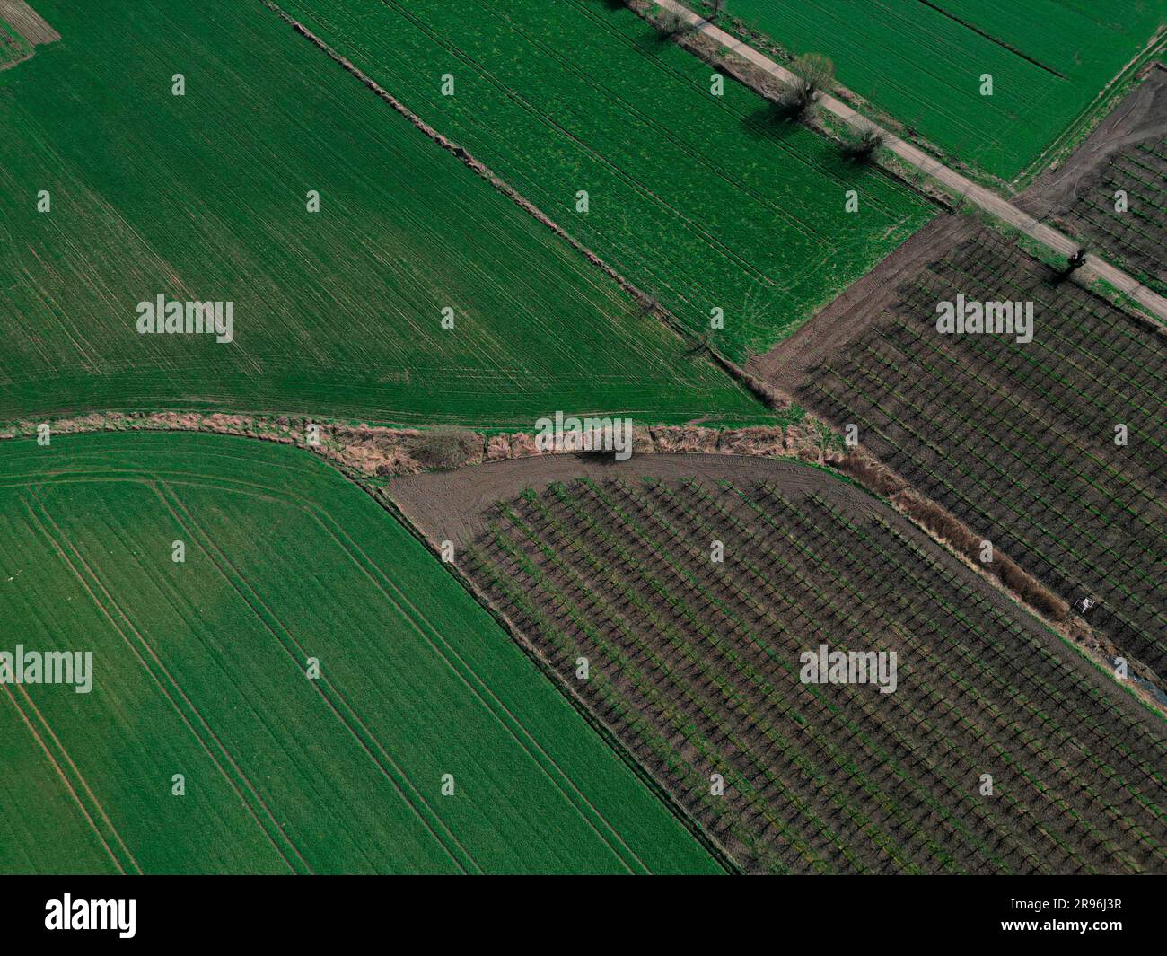 An aerial view of a farmland featuring a road snaking through the ...